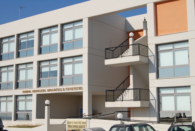 Τμήμα Μοριακής Βιολογίας & Γενετικής | Κοσμητεία Σχολής Επιστημών Υγείας